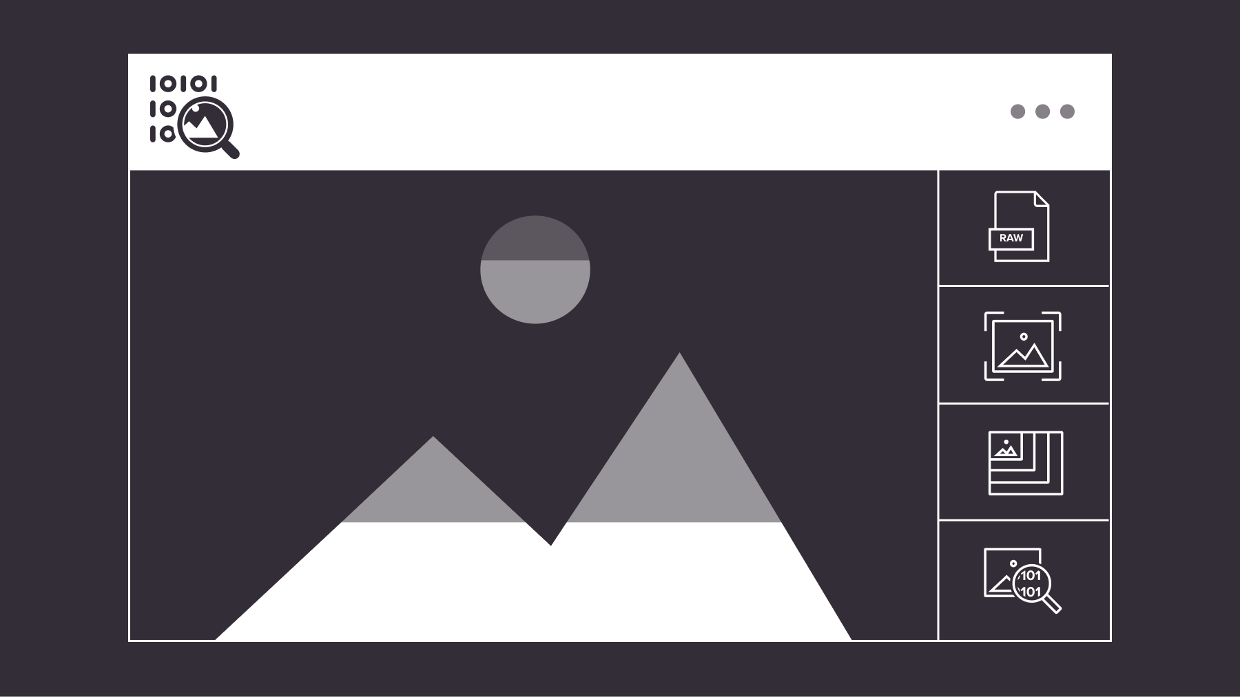 Antmicro · Improved and automated image data analysis with Raviewer's new features